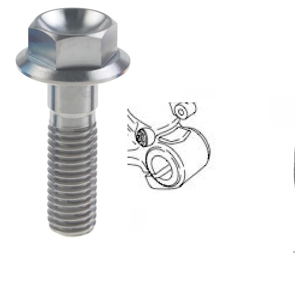 Race Bolts